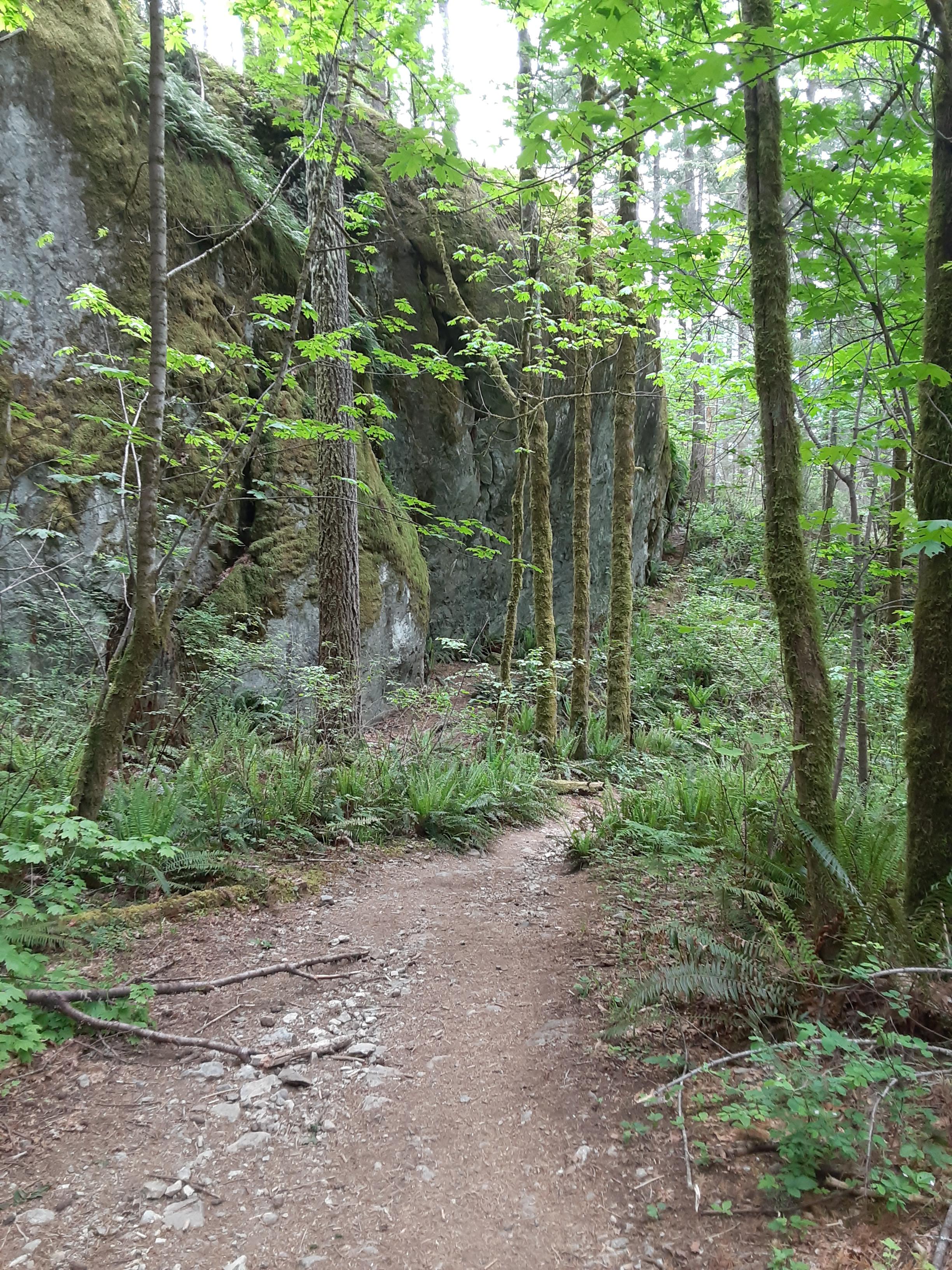 Little Si, Boulder Garden Loop — Washington Trails Association
